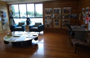 Activities - Catlins, New Zealand