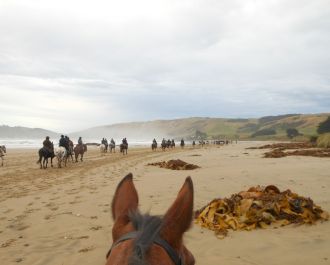 Official website for the Catlins, New Zealand