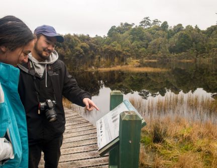 Visitor Guide & Map - Catlins, New Zealand
