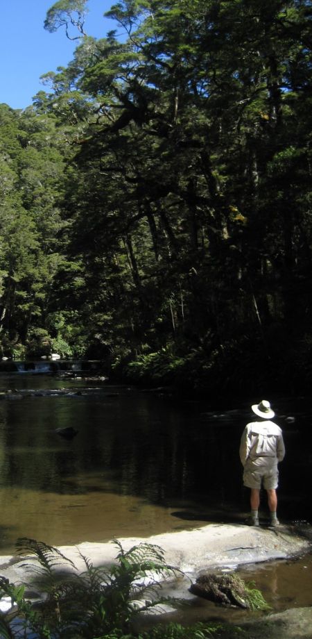 Official website for the Catlins, New Zealand